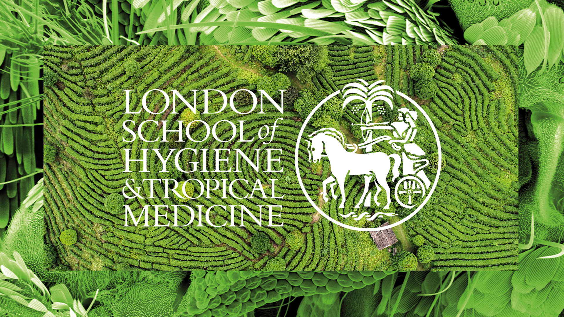 Celebrating LSHTM global partnerships | LSHTM